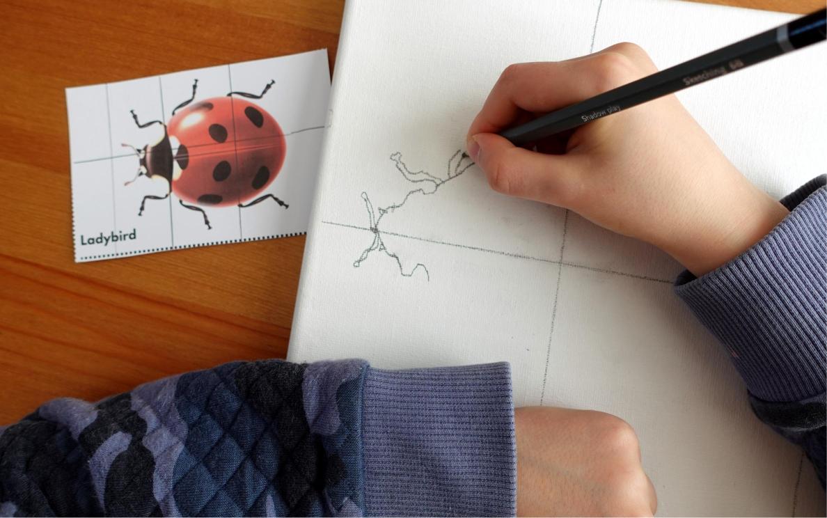 Going on a Bug Hunt: Exploring Nature with Children – Hands-On Education