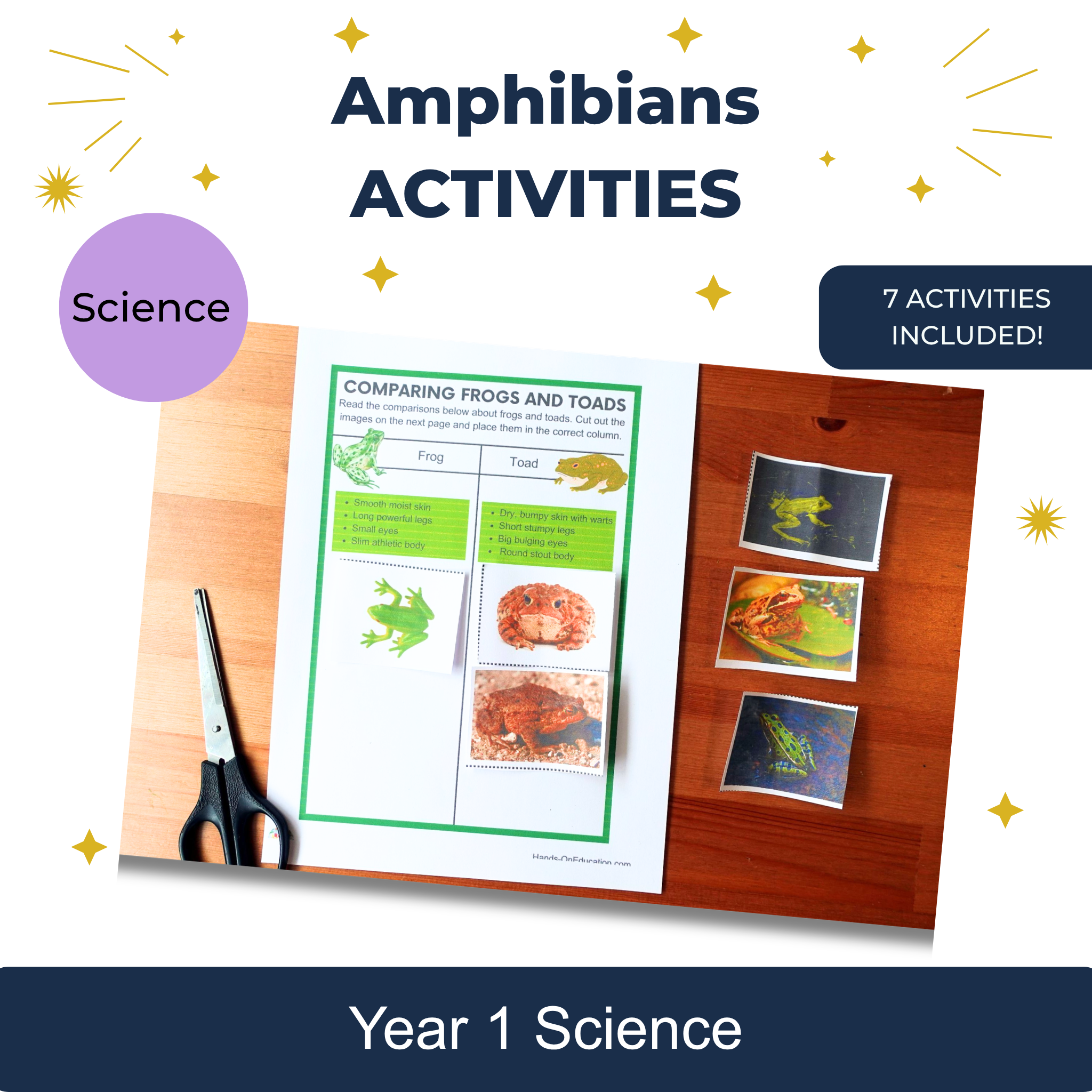 Year 1 Amphibians Activities | KS1 Science & Music Pack | Hands-On ...