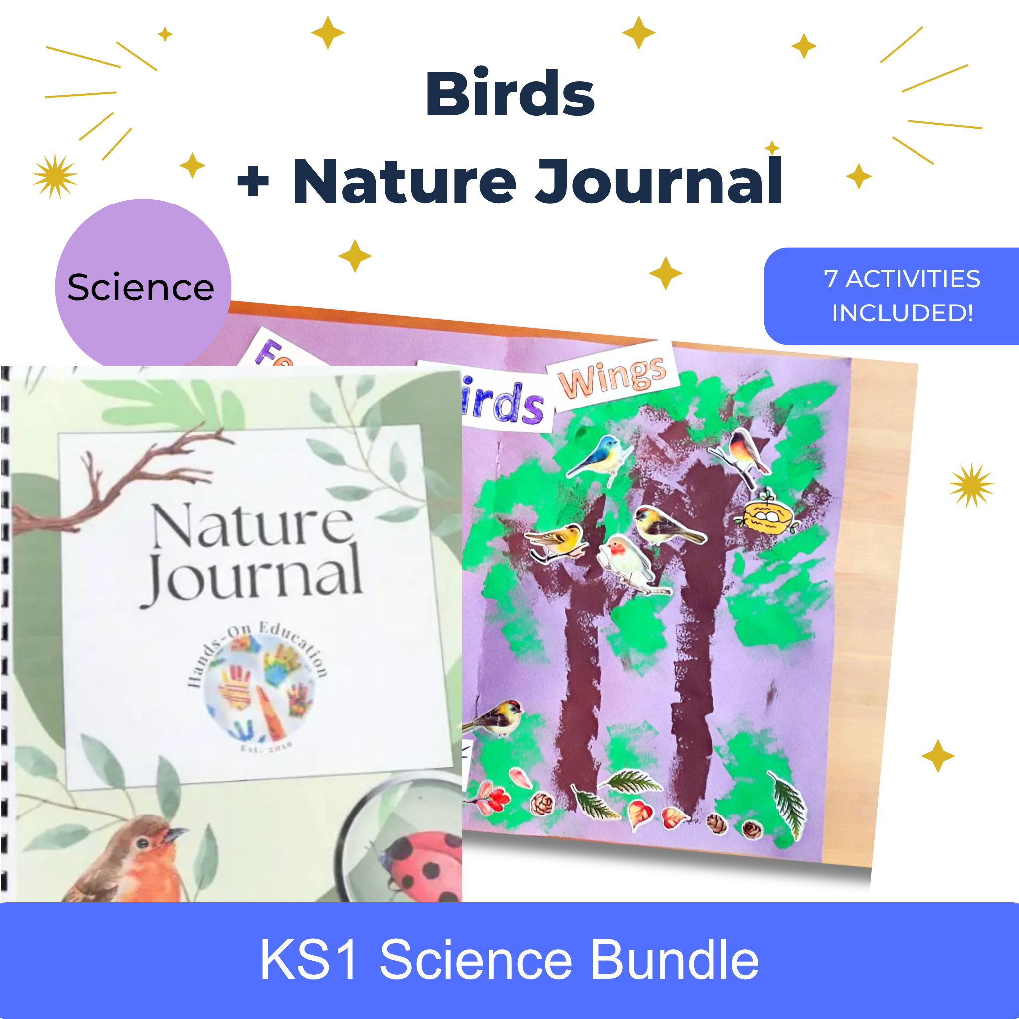 Birds + Nature Journal | KS1 Animals Science Topic | Hands-On Education