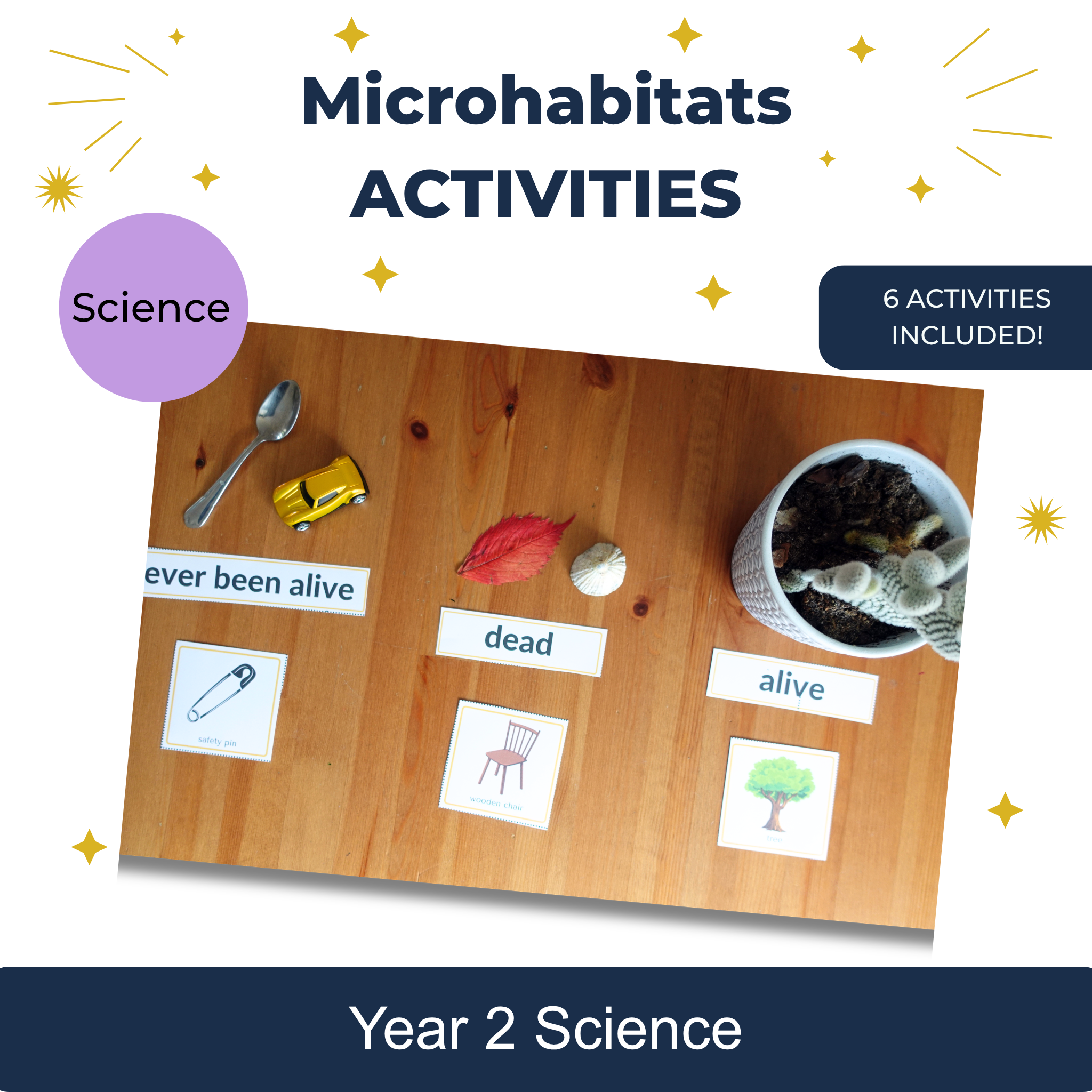 Year 2 Microhabitats Activities | KS1 Habitats Science & DT Pack ...