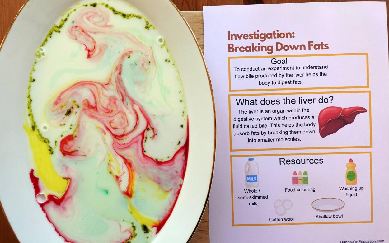 Science Activities | Primary Aged Activities | Hands-On Education