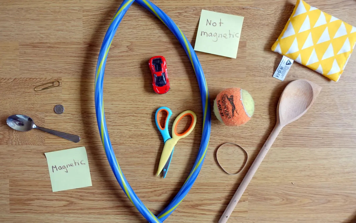 Year 3 Science Activities: Plants, Rocks, Light, Forces & Animals ...