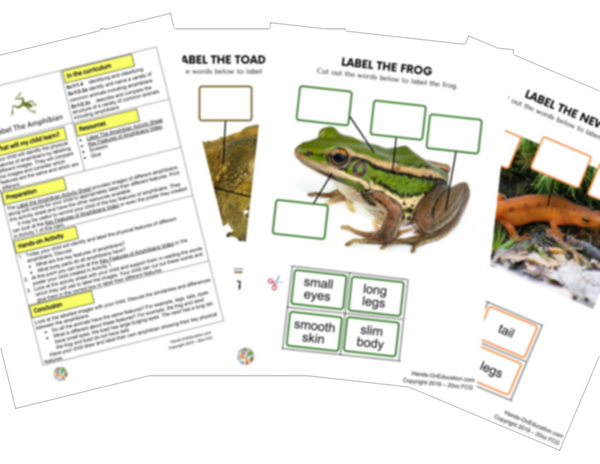 Year 1 Amphibians Activities | KS1 Science & Music Pack | Hands-On ...