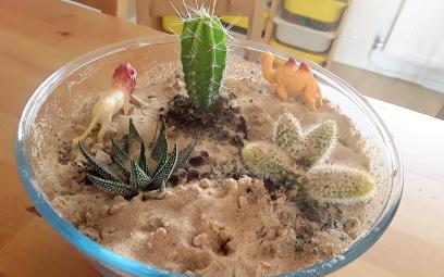 Year 2 Habitats Deserts Activities | Primary Science | Hands-On Education