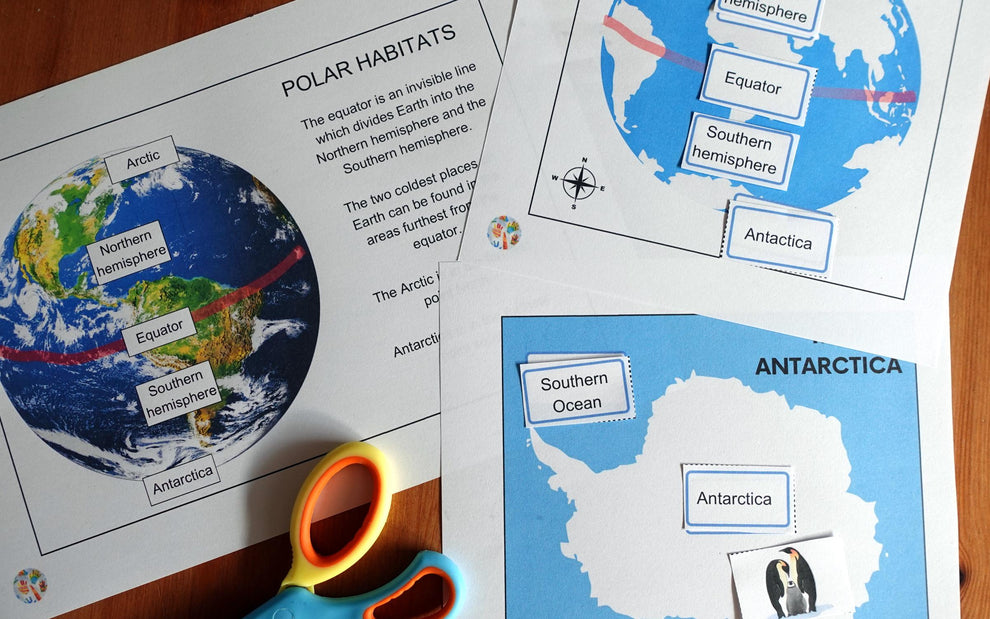Year 2 Habitats Polar Activities | Primary Science | Hands-On Education