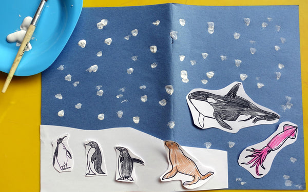 Year 2 Habitats Polar Activities | Primary Science | Hands-On Education