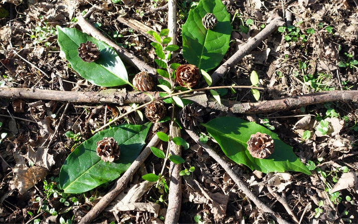 KS2 Sculptures | Art and Design Topic | Hands-On Education